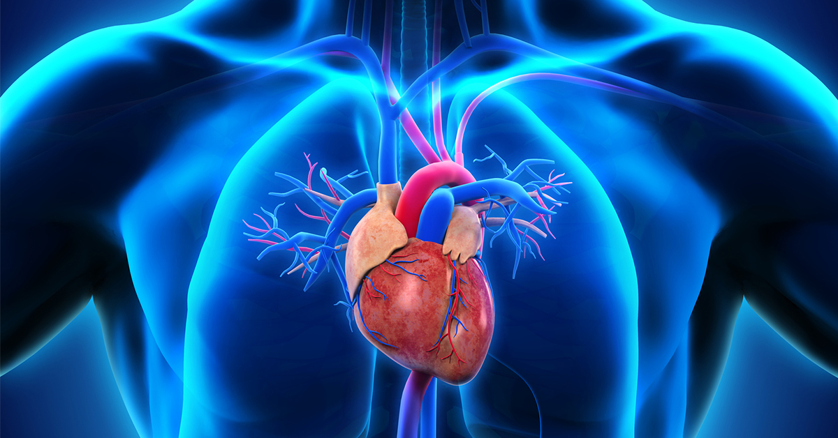What is an Electrocardiogram (ECG)? | MedStar Health